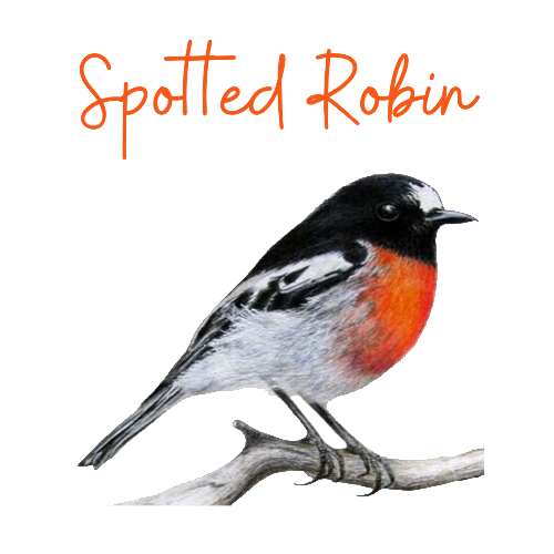 Contact Us – Spotted Robin